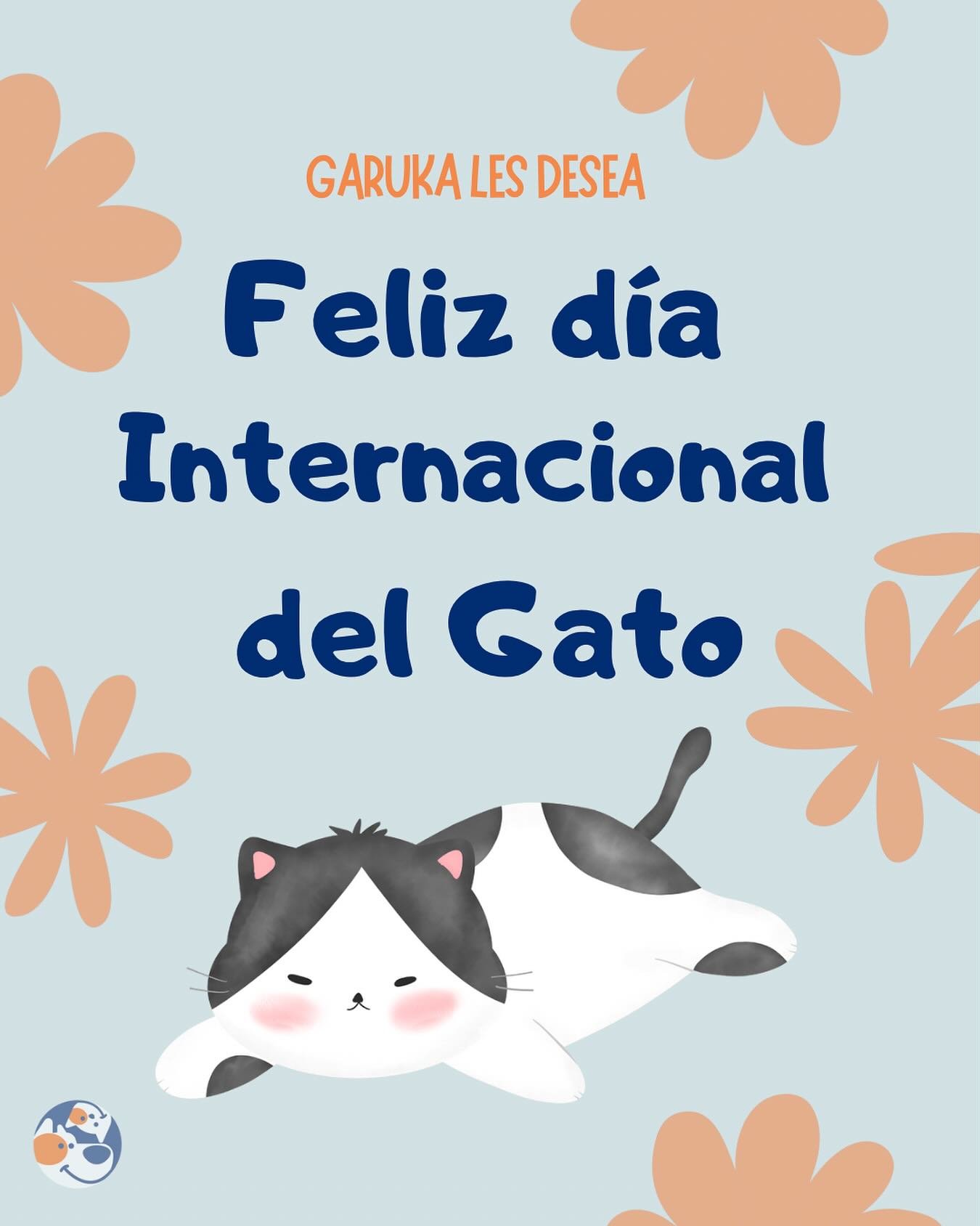 Promociones - Garuka